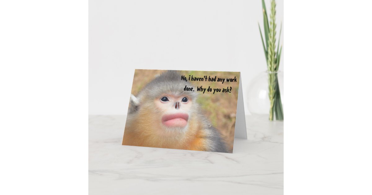 Monkey Plastic Surgery Humor Funny Greeting Card | Zazzle