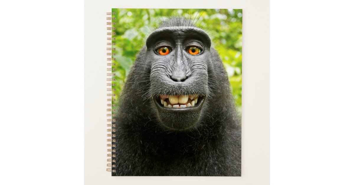 Monkey Selfie Planner | Zazzle