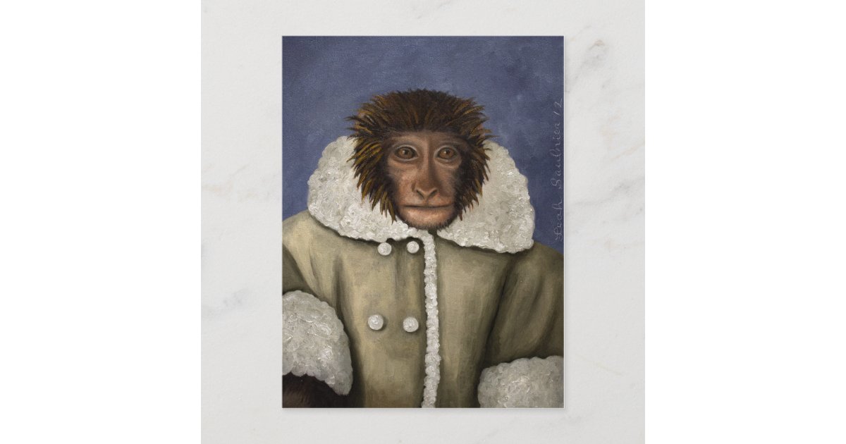 Monkey Wearing Jacket Postcard | Zazzle