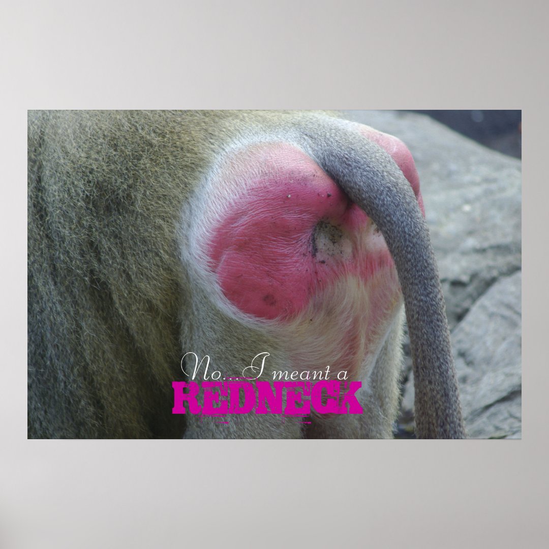 monkeybutt, No...I meant a , REDNECK Poster | Zazzle