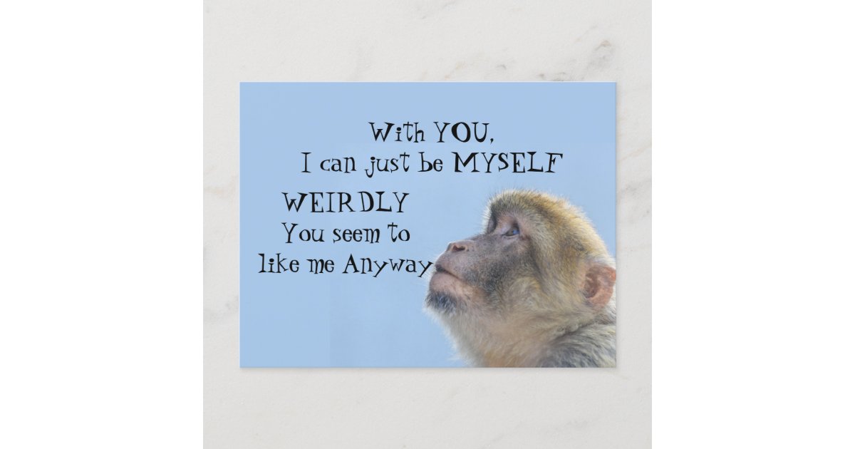 Monkeying Around Greeting Postcard | Zazzle
