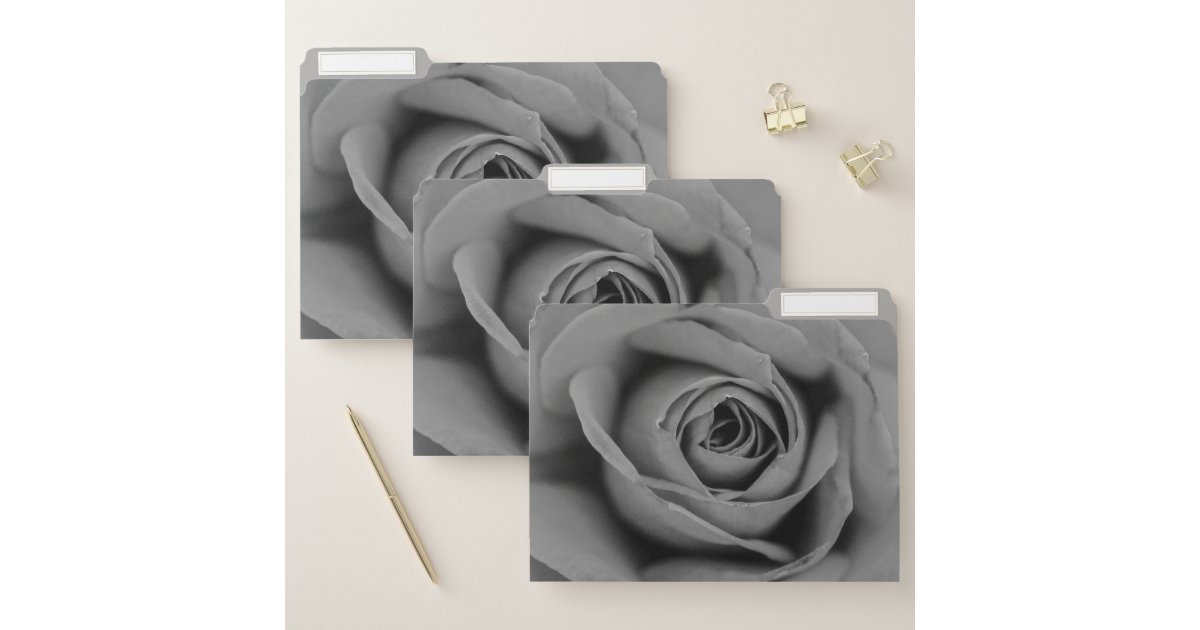 Monochromatic Roses File Folders Set | Zazzle