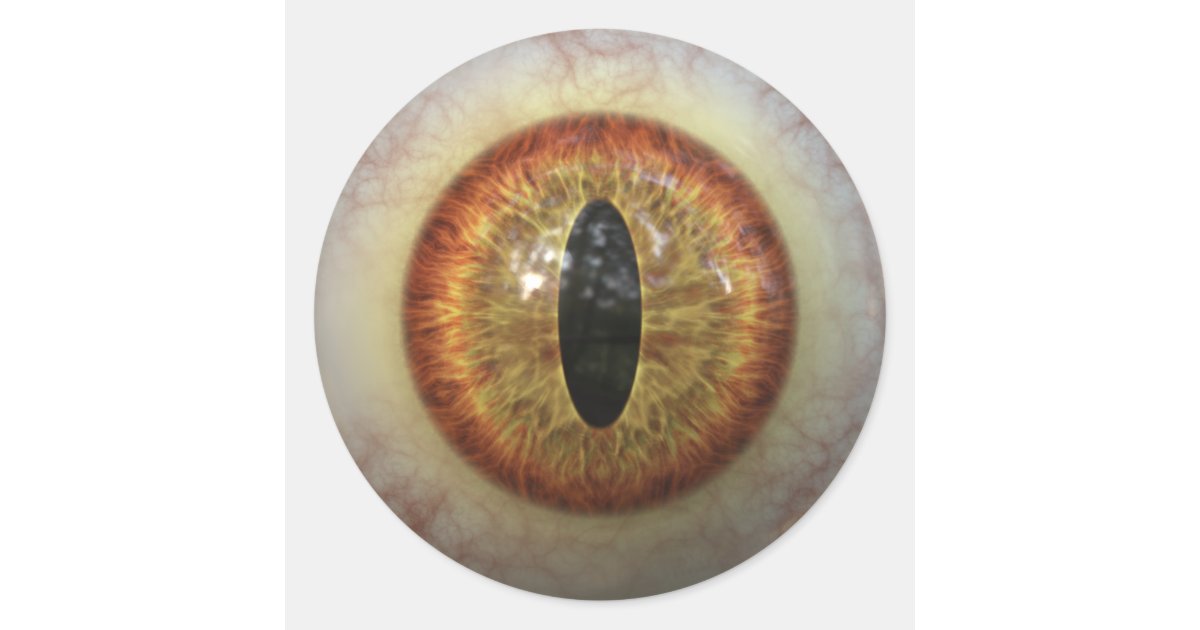 Monster Eye Classic Round Sticker | Zazzle