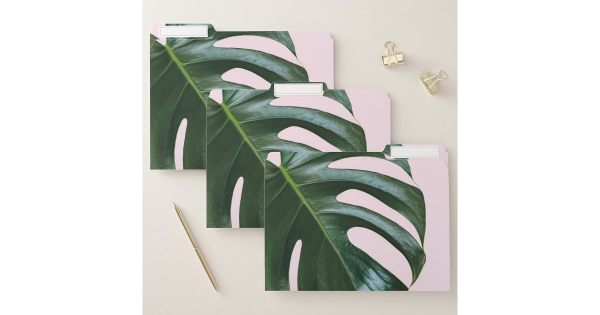 Monstera Tropical Leaf File Folder | Zazzle