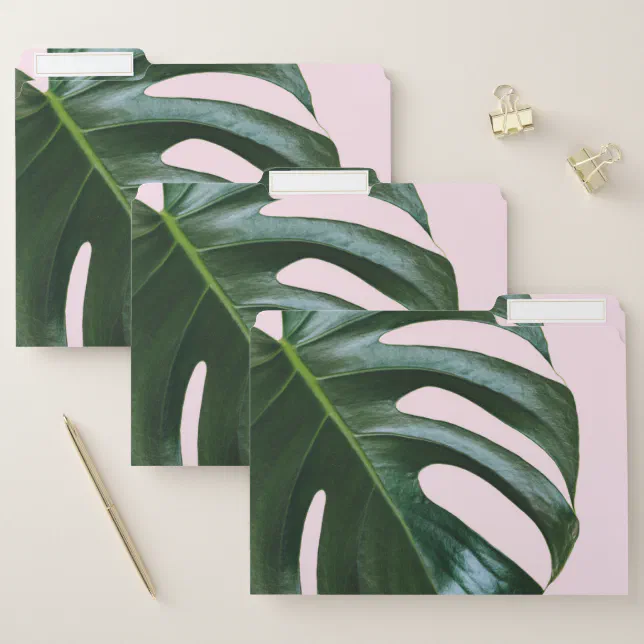 Monstera Tropical Leaf File Folder | Zazzle