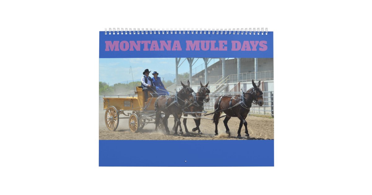 Montana Mule Days Calendar | Zazzle