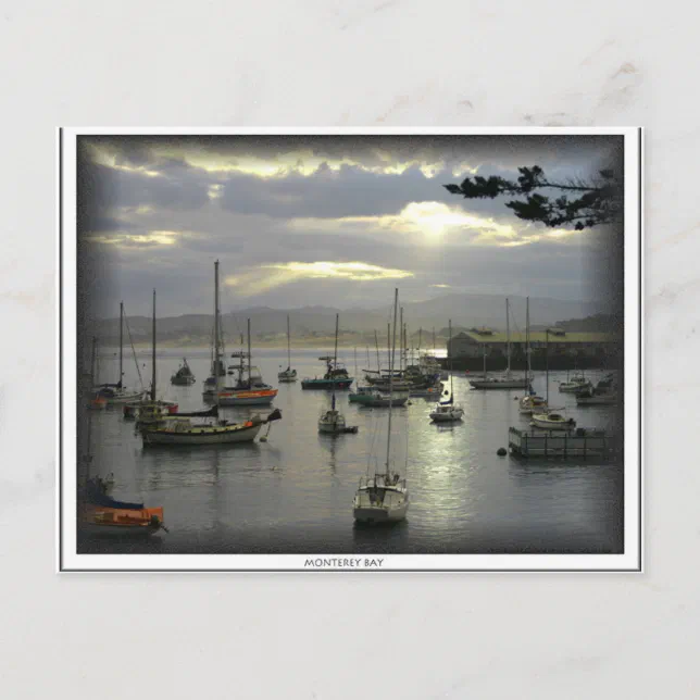 Monterey Bay Postcard | Zazzle
