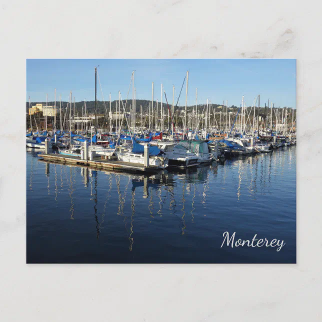 Monterey Marina, Monterey, California Postcard | Zazzle