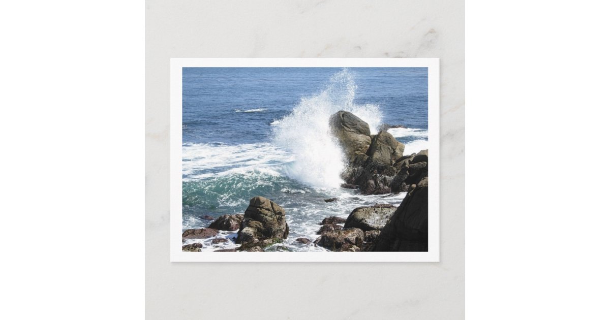 Monterey Postcard | Zazzle