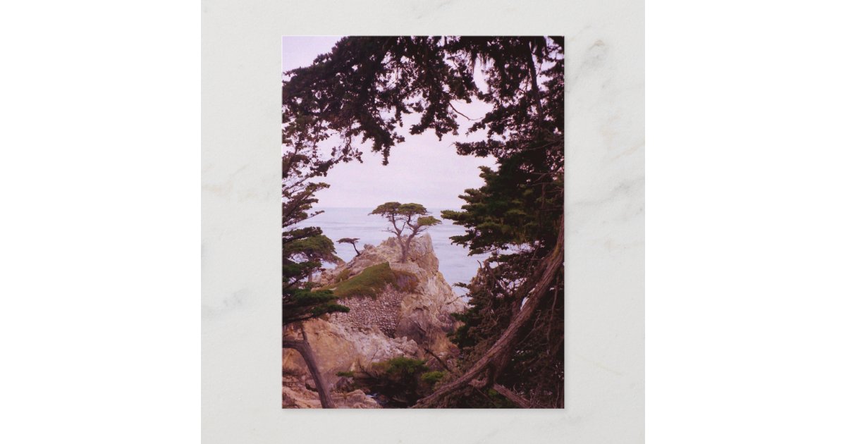 Monterey Postcard | Zazzle