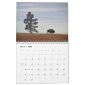 Monthly Bison Calendar - National Parks Edition | Zazzle