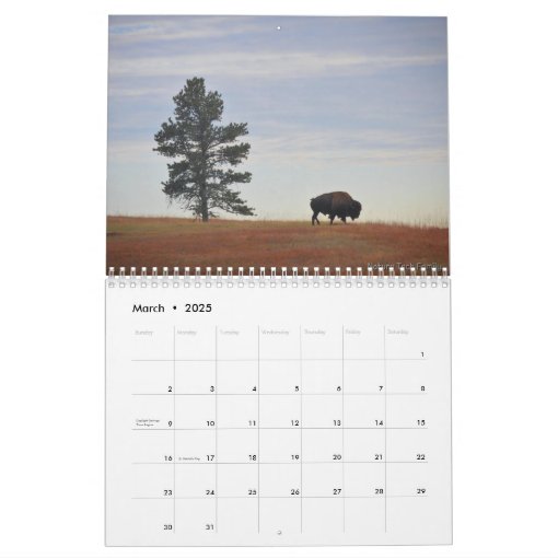 Monthly Bison Calendar - National Parks Edition | Zazzle