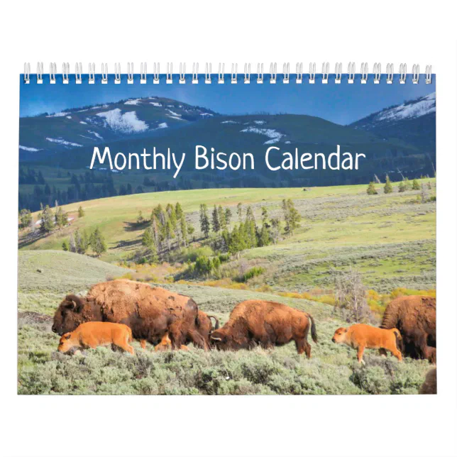Monthly Bison Calendar - National Parks Edition | Zazzle