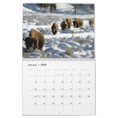 Monthly Bison Calendar - National Parks Edition | Zazzle