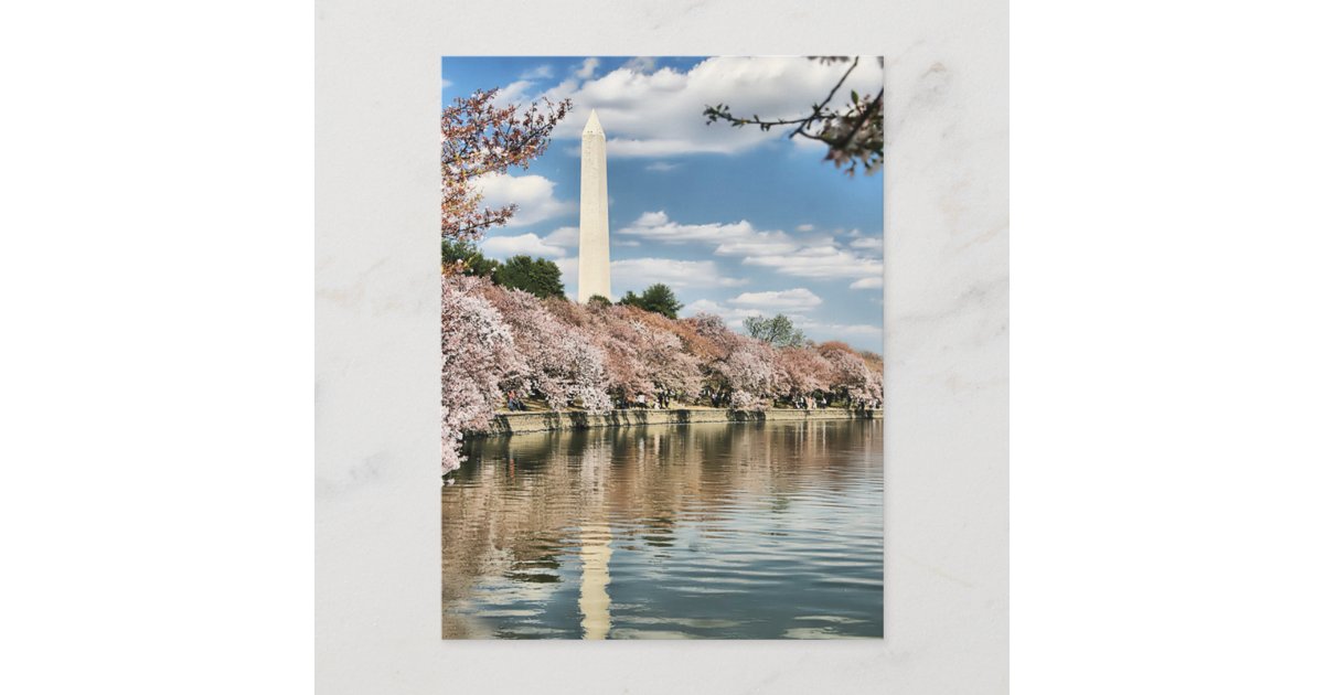 Monuments | Washington Memorial Postcard | Zazzle