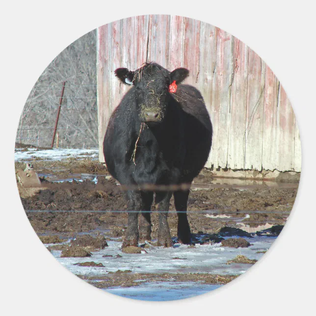 Moo Classic Round Sticker | Zazzle