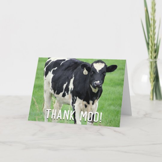 Moo Cow Thank You Card | Zazzle.com