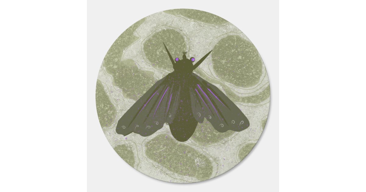 “Moon Moth” Sign | Zazzle