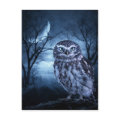 "Moon Owl" Postcard | Zazzle