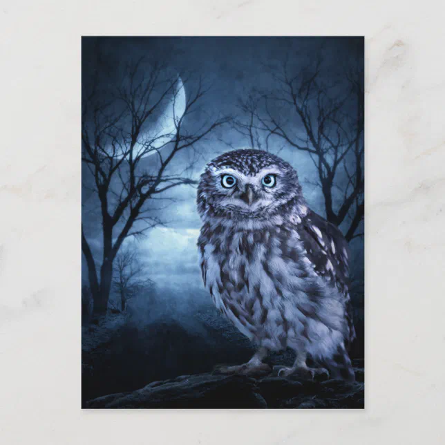 "Moon Owl" Postcard | Zazzle