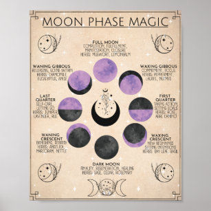 Moon Phases Art Project