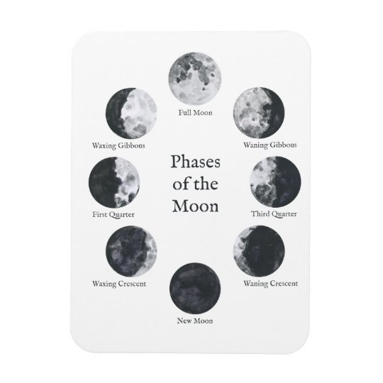 Moon Phases Lunar Cycle Magnet | Zazzle.com