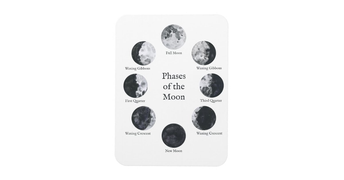 Moon Phases Lunar Cycle Magnet | Zazzle