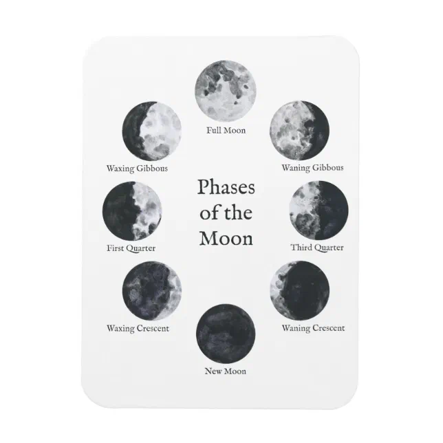 Moon Phases Lunar Cycle Magnet | Zazzle