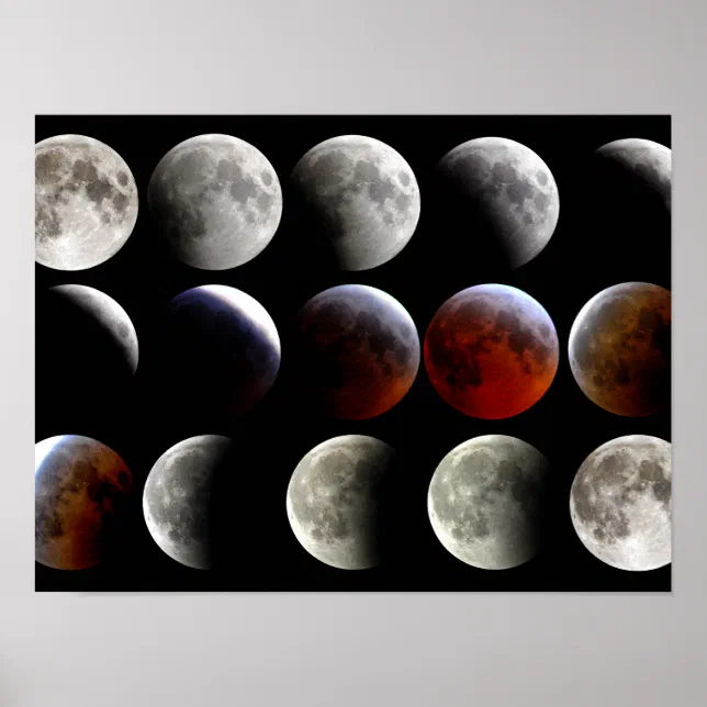 Moon Phases Poster | Zazzle