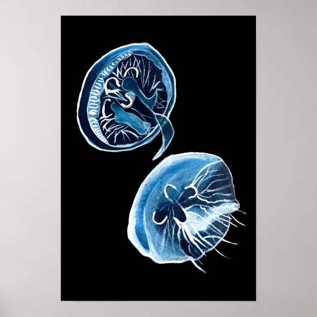 MoonJellyfish watercolor art Poster | Zazzle