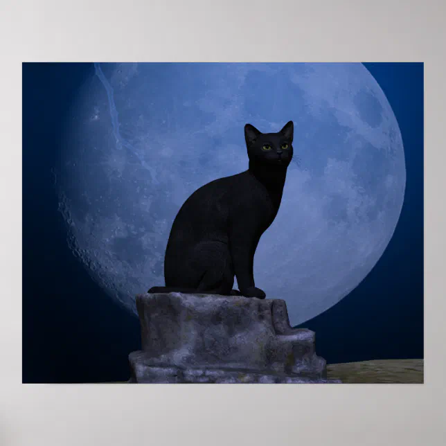 Moonlit Cat Poster | Zazzle