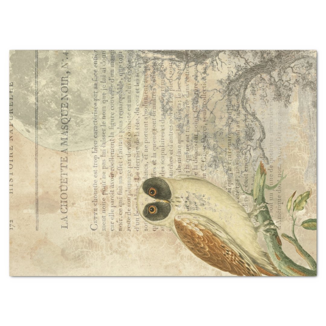 Moonlit Owl Decoupage Tissue Paper | Zazzle