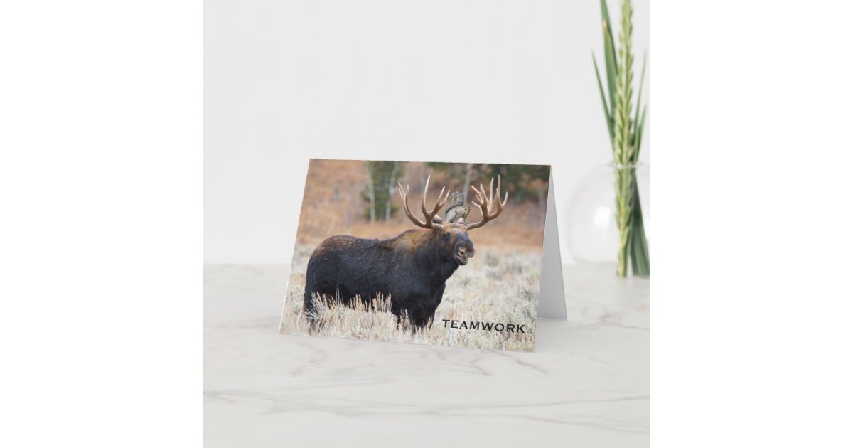 Moose and Squirrel "TEAMWORK" Greeting Card | Zazzle