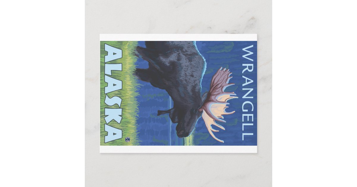 Moose at Night - Wrangell, Alaska Postcard | Zazzle