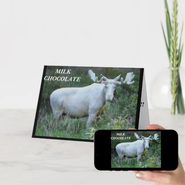 Moose Birthday Card | Zazzle