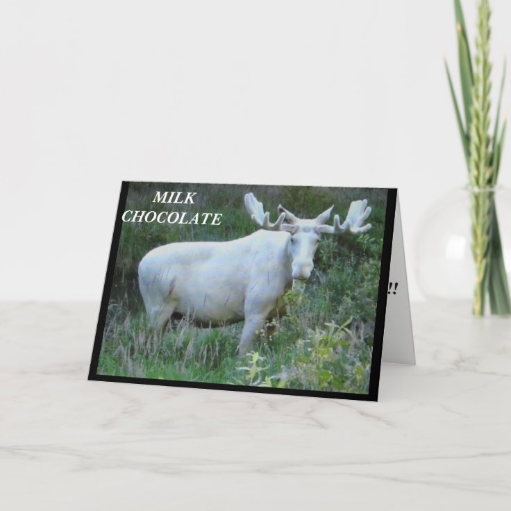 Moose Birthday Card | Zazzle