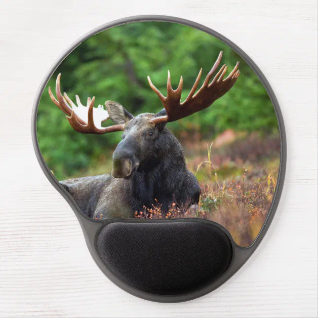 Moose Gel Mouse Pad | Zazzle