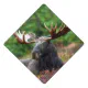 Moose Graduation Cap Topper | Zazzle