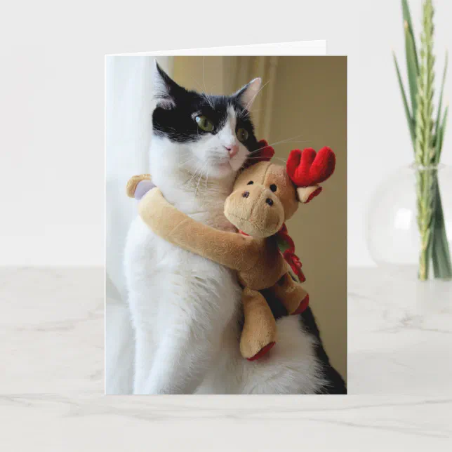 Moose Hugging Kitty Cat Christmas Greeting Card | Zazzle