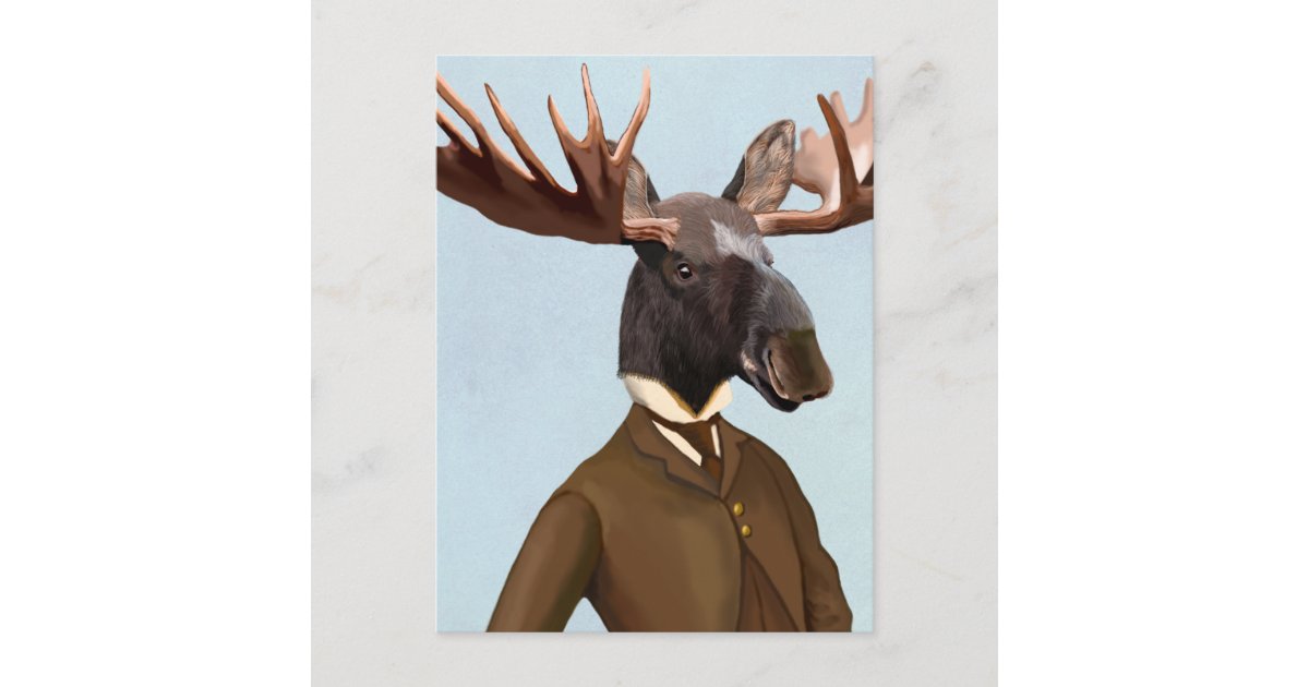 Moose In Suit Portrait Postcard | Zazzle