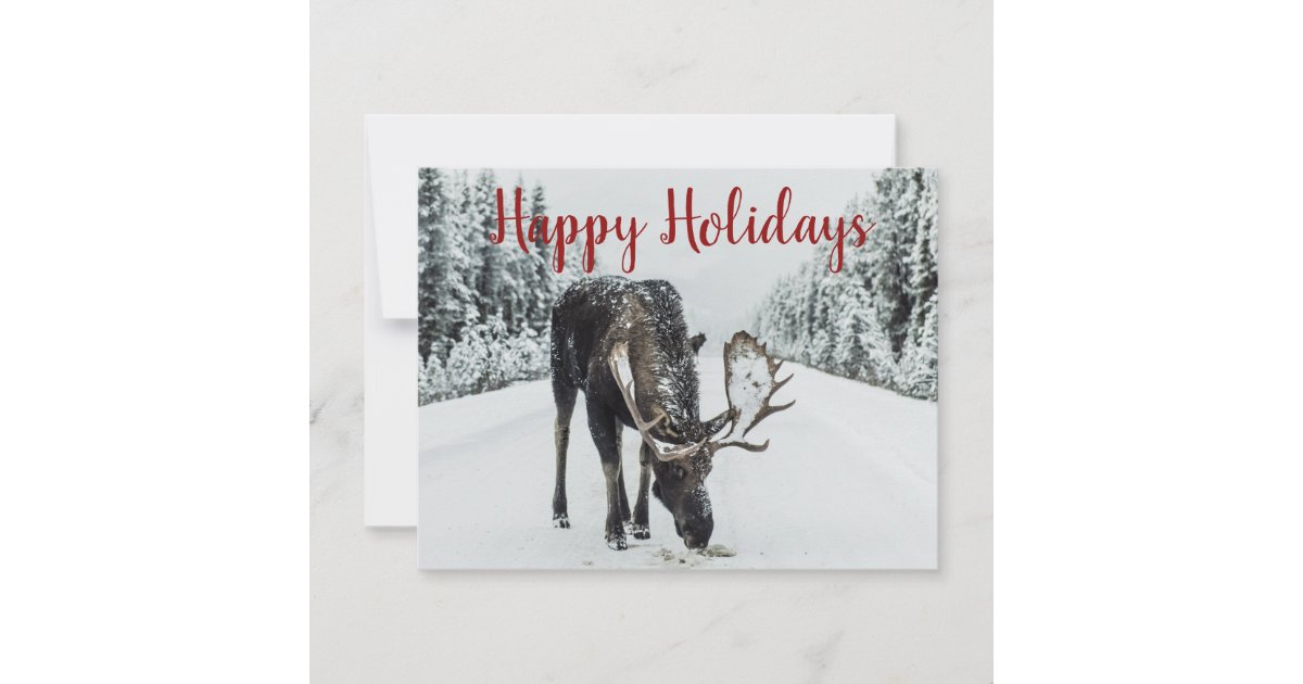 Moose In Winter Snow Holiday Card | Zazzle