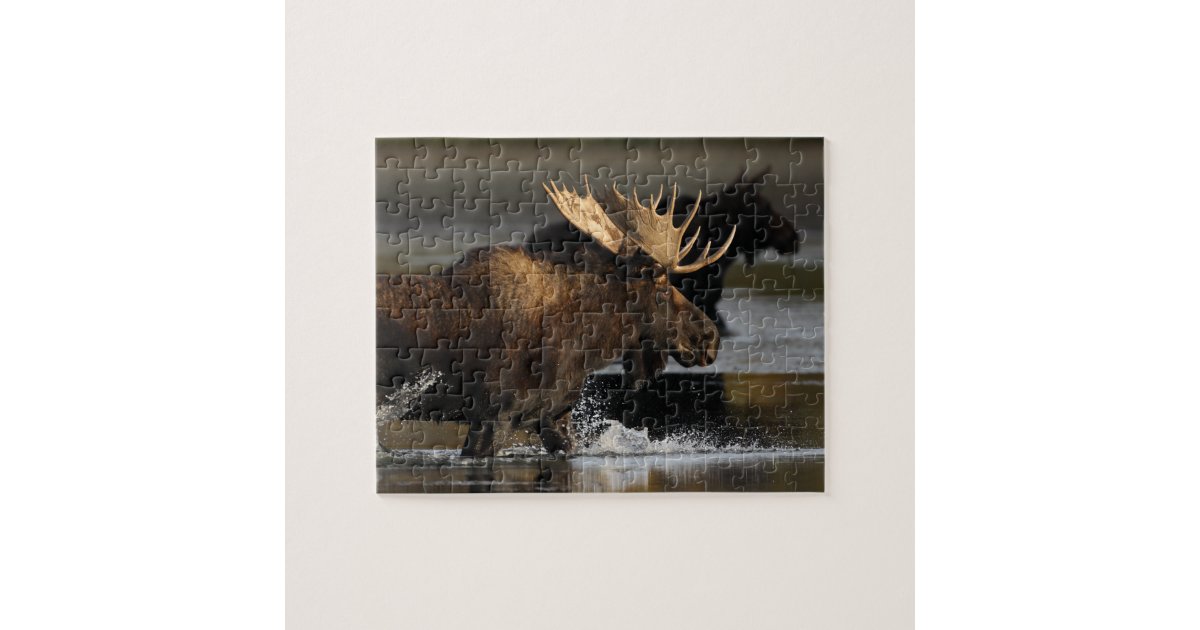 Moose Jigsaw Puzzle | Zazzle