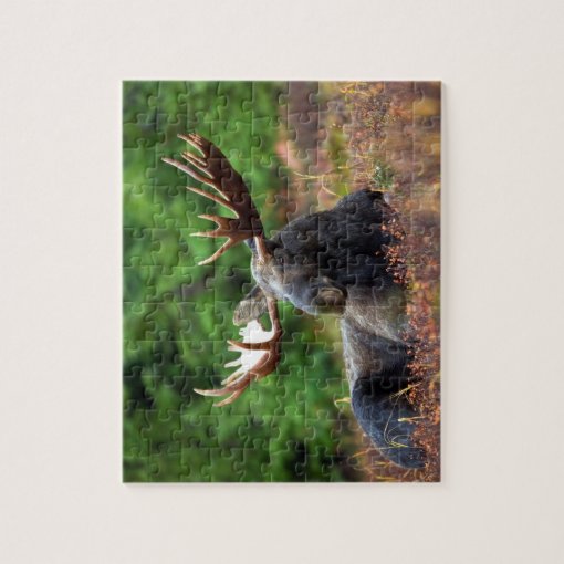 Moose Jigsaw Puzzle | Zazzle