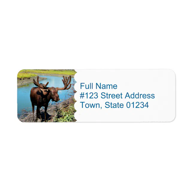 Moose Mailing Label | Zazzle