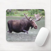 Moose on a Mission Mouse Pad | Zazzle