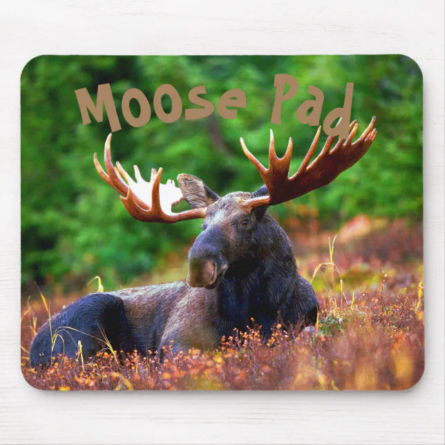 Moose Pad Mouse Pad | Zazzle