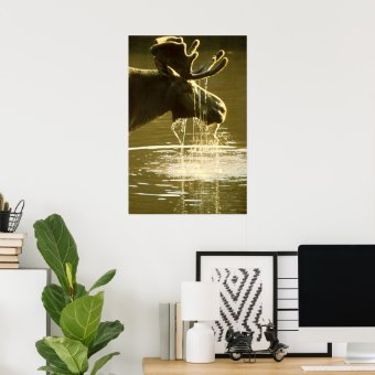 Moose Poster | Zazzle