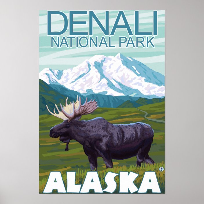Moose Scene - Denali National Park, Alaska Poster | Zazzle.com