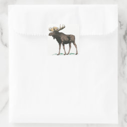 Moose Stickers | Zazzle