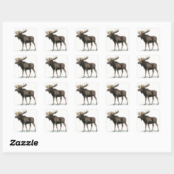 Moose Stickers | Zazzle